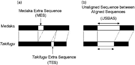 Alignment By Blastz Produces Aligned Sequences Filled Boxes And Two Download Scientific