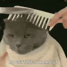 Haircut S Tenor