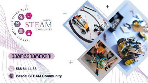 Pascal Steam Community Tbilisi