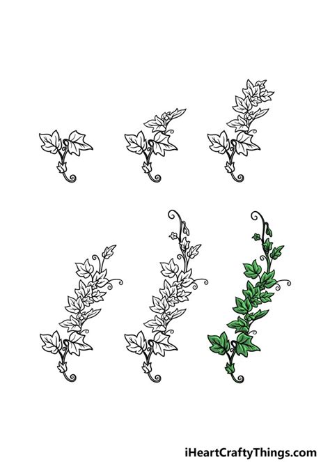 Vines Drawing How To Draw Vines Step By Step