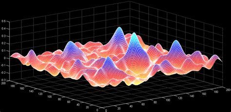 Armin Schwartzman Random Field Theory