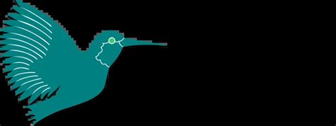 Cosè Latex E Come Funziona