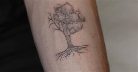 Illustrative Style Tree Tattoo Located On The Inner