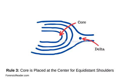 15 rules for choosing core and delta in loop fingerprint patterns