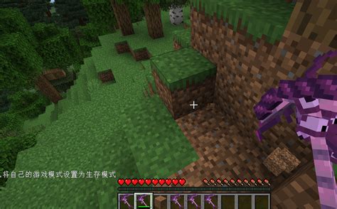 Max Custom Durability There Seems To Be A Problem The Item Will Regain Its Original