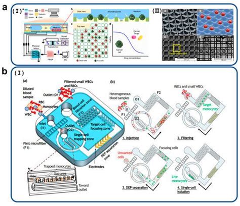 Biosensors Mdpi On Linkedin Biosensors Microfluidic Impedancesensor Microfluidicchip…