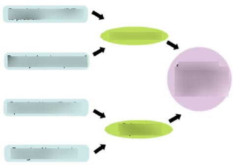 HP Final Exam Diagram Quizlet