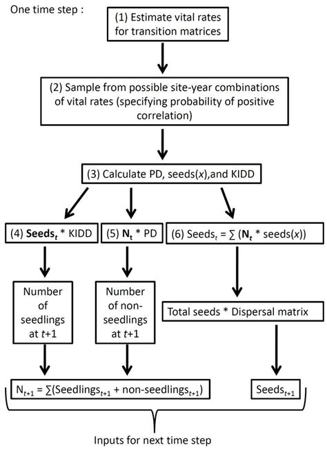 Progression Of Steps In A Single Iteration From Time T To Time T Download Scientific