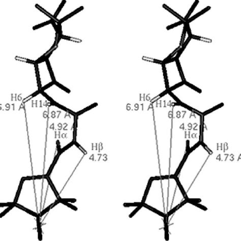 Stereo Diagram Of The Endor Determined Conformation Of Spin Labeled