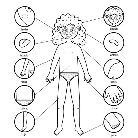 Mewarnai Body Parts
