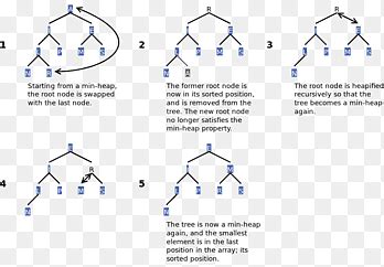 Binary Heap Png Images PNGEgg