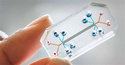 Oxford Microfluidic Chip Manufacturers In Oxford Uk