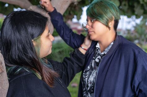 Donna Lesbica Che Accarezza Il Volto Del Suo Compagno Immagine Stock Immagine Di Contemporaneo