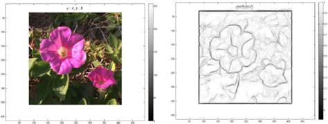 The Image Edge Detection Result Using Sed Algorithm Download Scientific Diagram