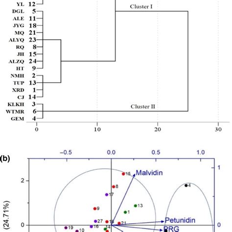 Chemometric Analysis Of 27 Batches Of Lr A Dendrogram Of