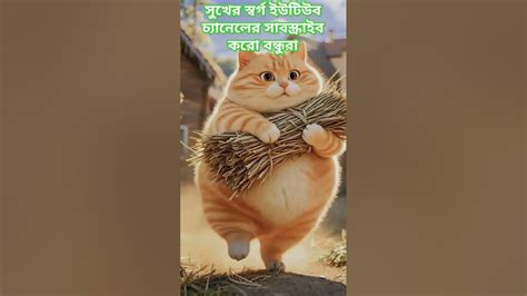 গরু আর বিড়ালের লাঙ্গল দেখো 🤡🤡🤡🤡 Short Viralshort Viralvideo Youtube