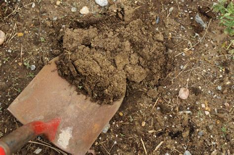 Simple Ways To Improve Garden Soil The Prairie Homestead