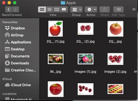 Create Image Classifier Model Using Create Ml App By Ramprasath