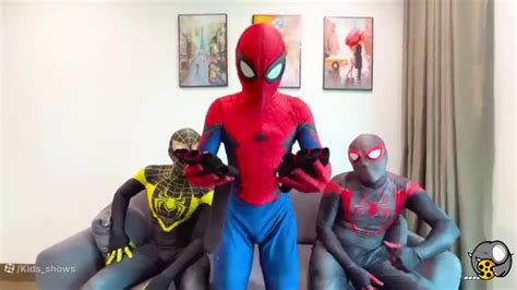 مرد عنکبوتی تیم اسپایدرمن دختر عنکبوتی چالش روزانه ابرقهرمانان