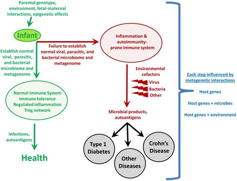 Metagenomics And Personalized Medicine Abstract Europe PMC