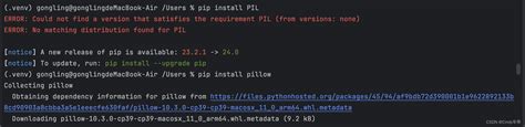 Error Could Not Find A Version That Satisfies The Requirement Pil