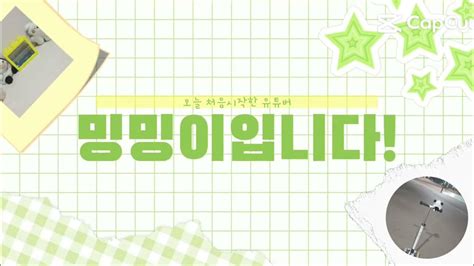 밍밍이 입니다 Youtube