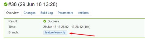 Build Specific Branch Via Rest Api Teamcity Support Jetbrains