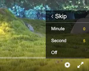 Skip Credits Interface How To Allow Users To Skip The Beginning PlayerJS