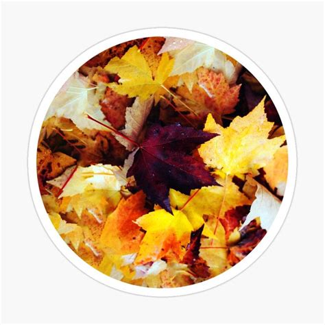 Autumn Golden Leaves Sticker By Mechalina