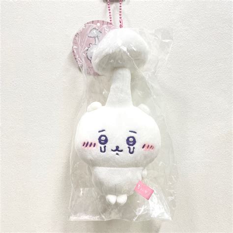 기생버섯 치이카와🤍 콜리 Colley