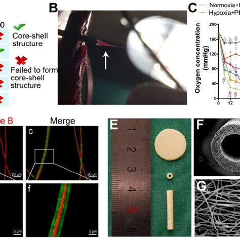 Fabrication And Optimization Of Coaxial Electrospun Fibers Parametric Download Scientific