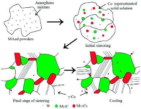 Schematic Illustration Of The Microstructure Evolution Of Cobalt Based