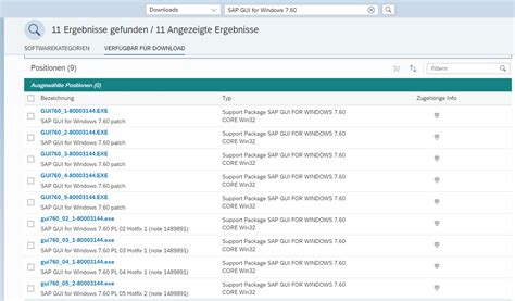 How To Download Sap Gui For Windows 10 Hopdeshelf