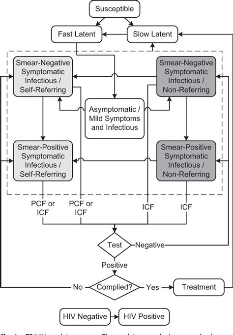 Figure 1 From Identifying Dynamic Tuberculosis Case Finding Policies For Hiv Tb Coepidemics