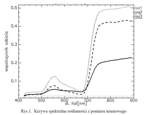 The Vegetation Spectral Curves From Field Measurements In Situ