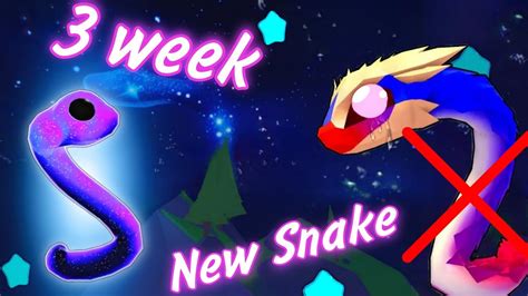 3 НЕДЕЛЯ ЛУННОГО ОБНОВЛЕНИЯ В АДОПТ МИ НОВАЯ ЗМЕЯ И ЯЙЦА АДОПТ МИ МИЛКА Youtube