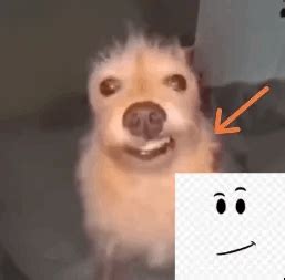 Dog Roblox Meme Dog Roblox Meme Descubrir Y Compartir S