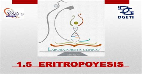 Fases De Maduracion Del Eritrocito