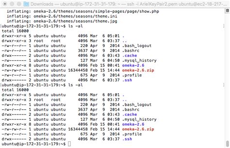 Trying To Install Omeka And Then Neatline On Aws Server According To Manual Troubleshooting
