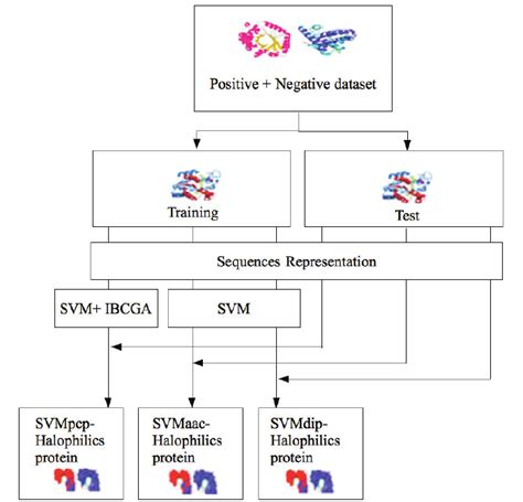 Prediction Method Flowchart Download Scientific Diagram