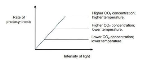 Photosynthesis Limiting Factors Factors Affecting