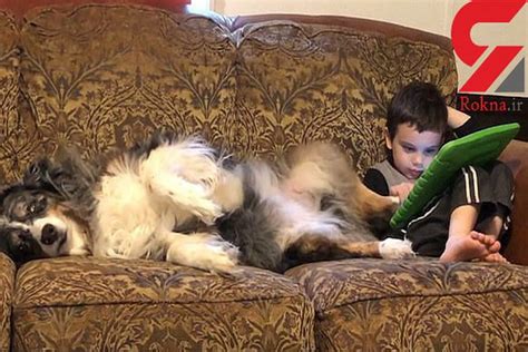 بازدید میلیونی فیلم بازی‌های کودکانه‌ی پسر سه ساله با یک سگ