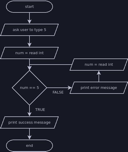 Decision Points Csc110 Notebook