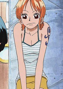 海贼王娜美同人h