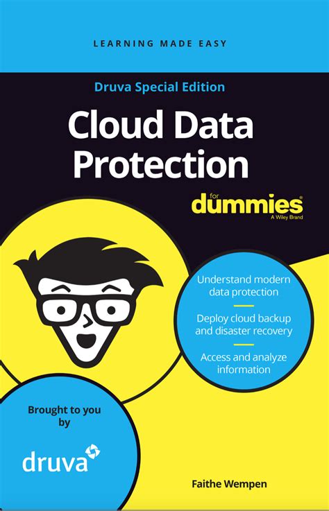 Cloud Data Protection For Dummies Vast