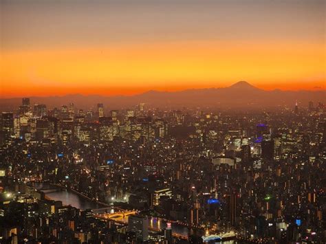 전망대에서 찍은 일본 도쿄 풍경 Mlbpark