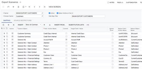 Customer Master Export Scenario Showing Duplicate Field Values