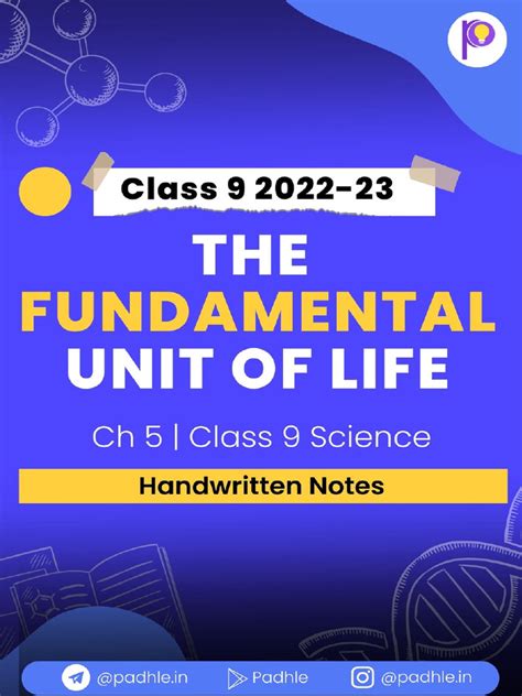 Fundamental Unit Notes Pdf