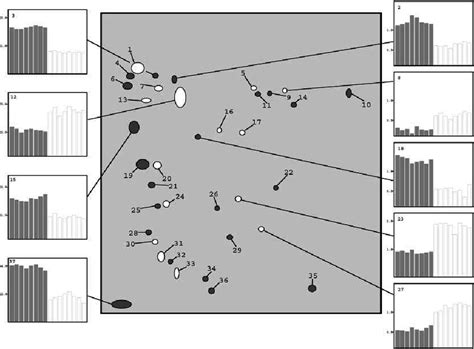Mytilus Spp Schematic Two Dimensional Electrophoretic Map Containing Download Scientific