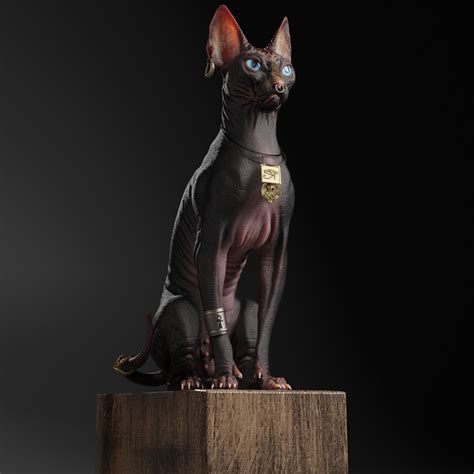 Egyptian Sphinx Cat